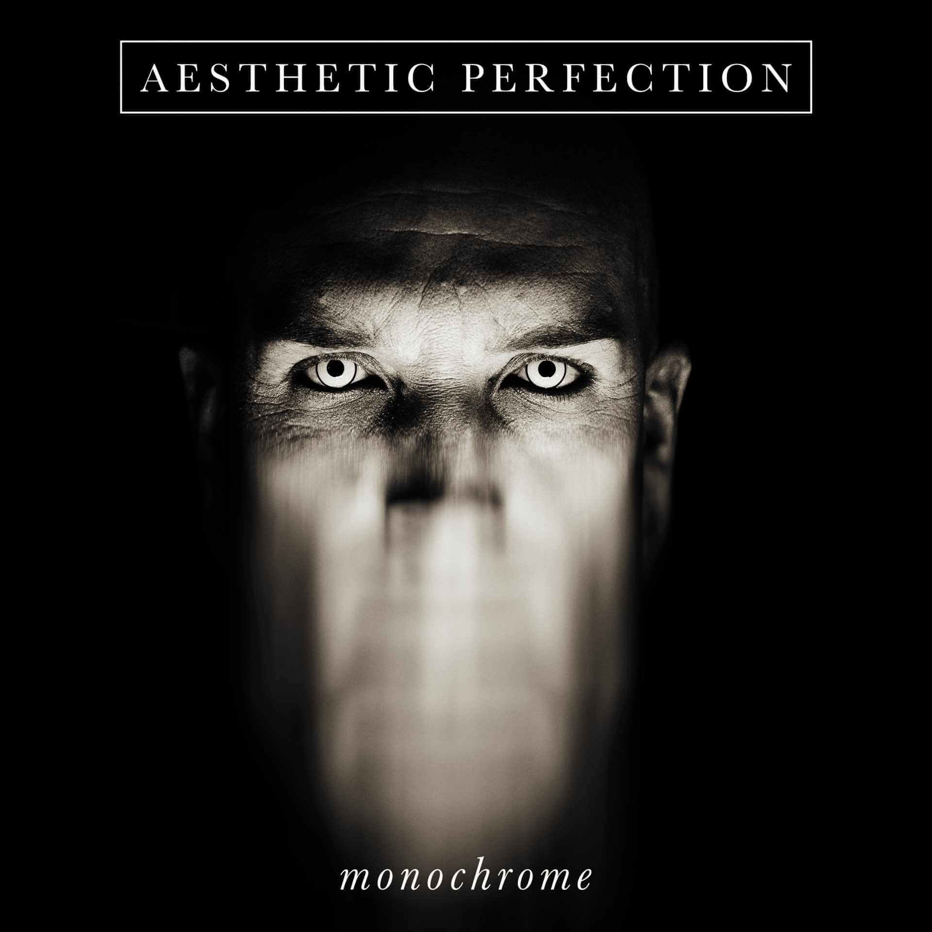 Aesthetic Perfection - Monochrome (Discover) • Electrozombies