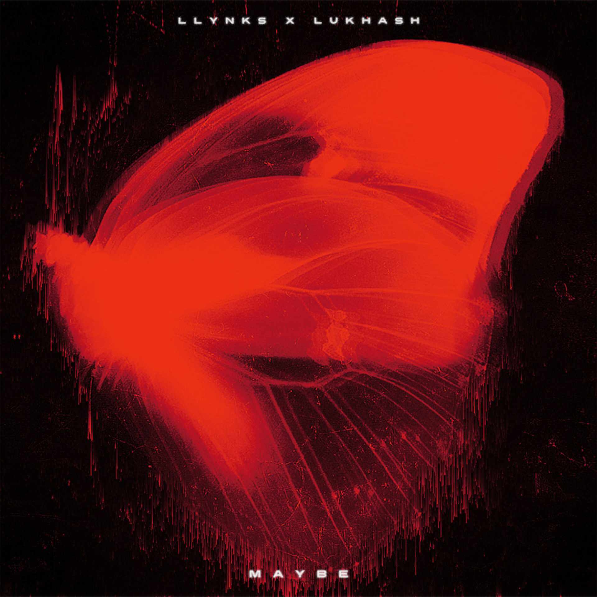 Llynks - Maybe (Feat. Lukhash) (Discover) • Electrozombies